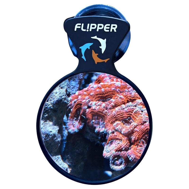 Flipper DeepSee Magnified Magnetic Aquarium Viewer 4'' | Evcilal